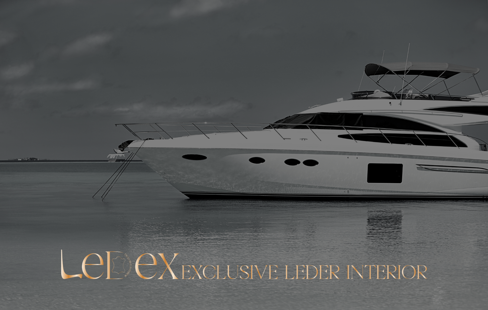 LEDEX Perfect Interior